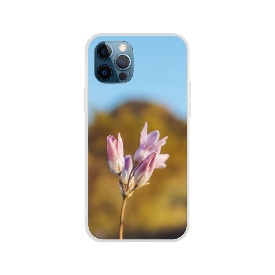 Dichelostemma Capitatum Desert Hyacinth, Purple, Spring, Arizona Flower ...