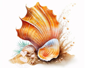 Sea Shells Clipart, 12 High-quality Pngs, Beach Clipart, Seashell PNG ...