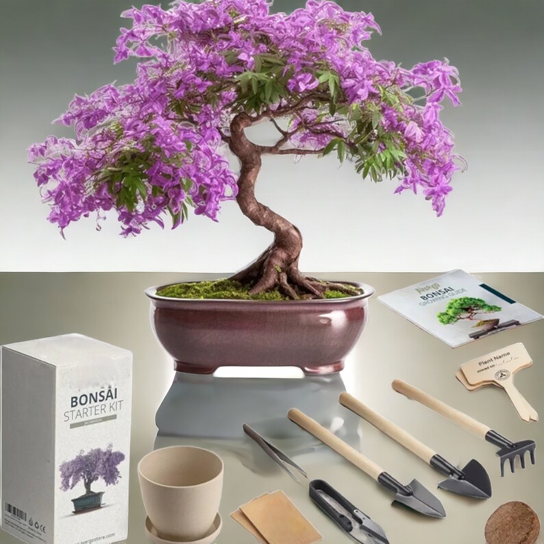 Bonsai Tree Starter Kit - Complete Indoor Growing Kit With Tools and ...