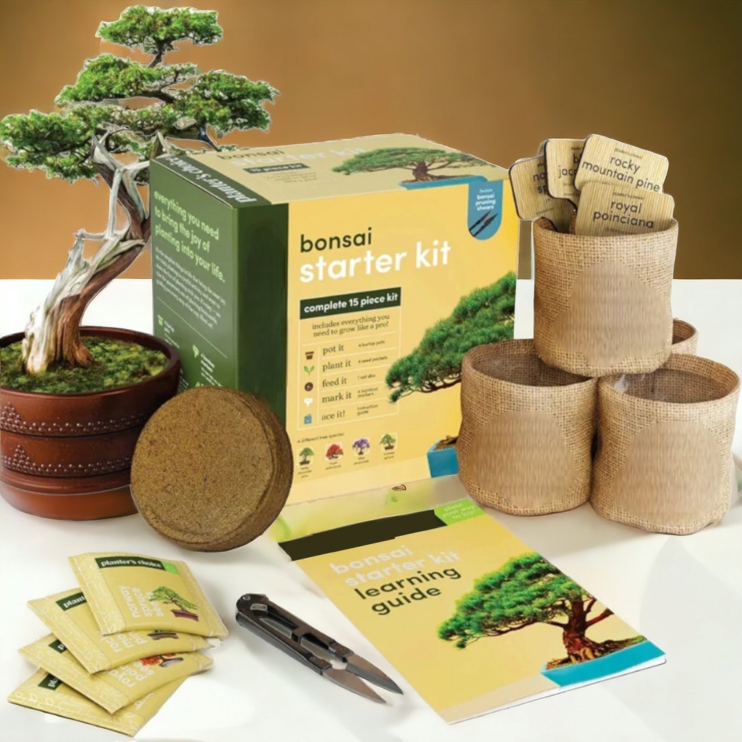 Bonsai Tree Starter Kit - Gardening Gift for Plant Lovers - DIY Bonsai ...