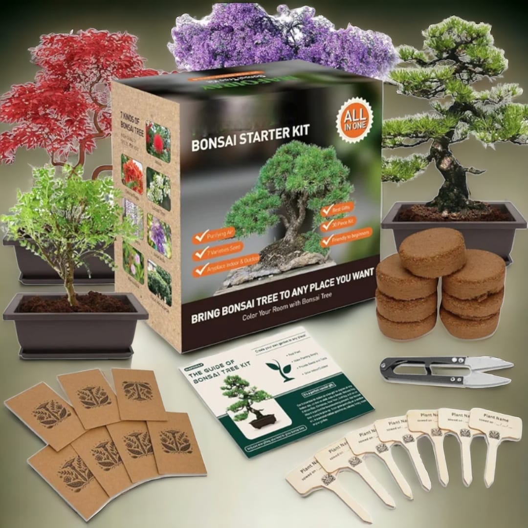 Bonsai Tree Starter Kit With 7 Varieties of Seeds, Pots, Soil, Tools ...