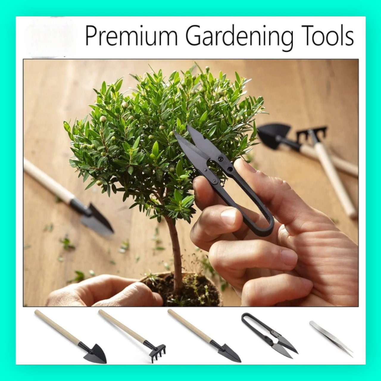 Complete Bonsai Tree Kit for Beginners and Enthusiasts | Grow 5 Unique ...