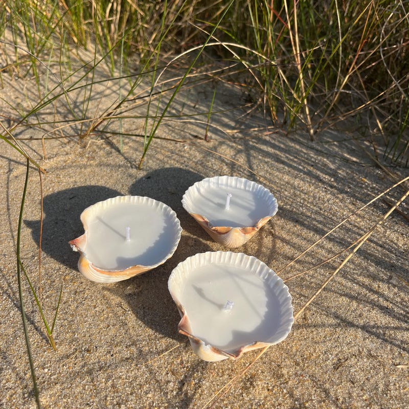 Seashell Candle - Etsy