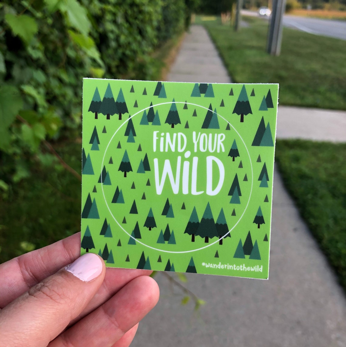 Find Your Wild 3 Vinyl Sticker, Forest Explorer Sticker, Laptop ...