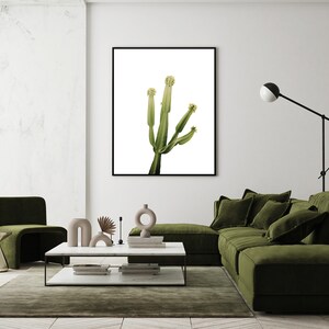 Cactus Prints, Green Cactus Tree, Botanical Print, Botanical Art ...