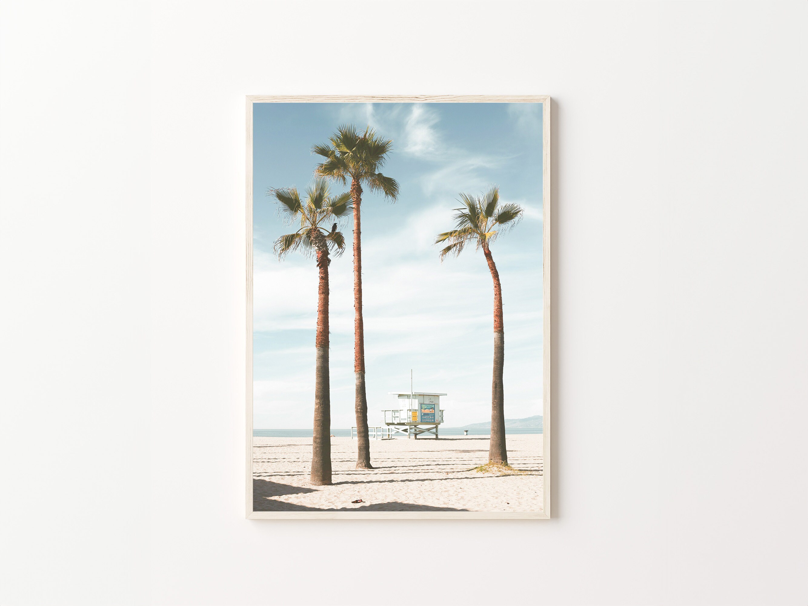 Palm Trees Digital Print, Palm Tree Prints, Palm Trees at the Beach ...