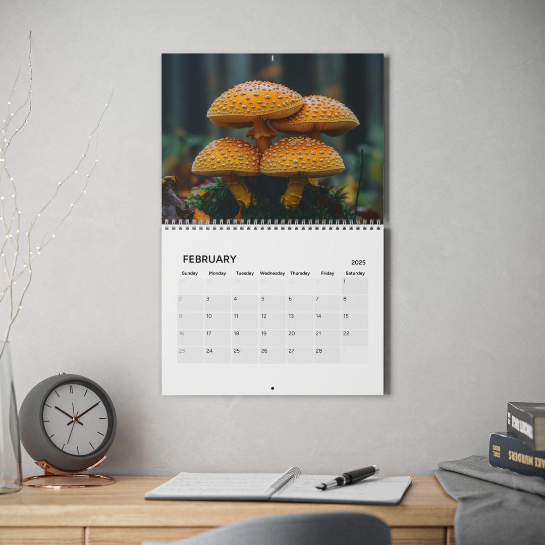 Mushroom Fantasy Wall Calendar 2025 - Whimsical Decor, Fungal Art ...