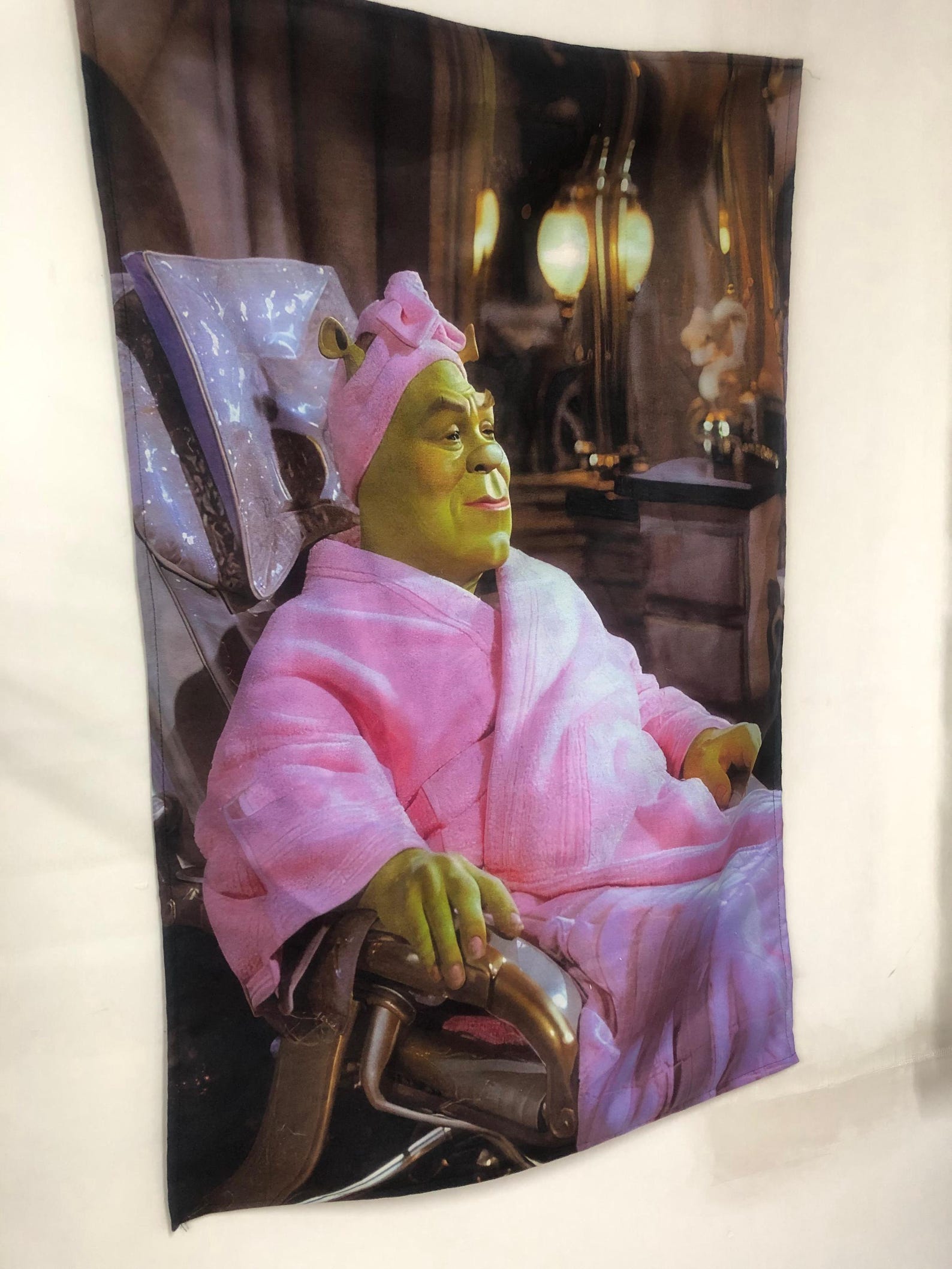 SHREK TAPESTRY, Wall Decor Hangings, Printed Wall Decor, Collage Dorm ...