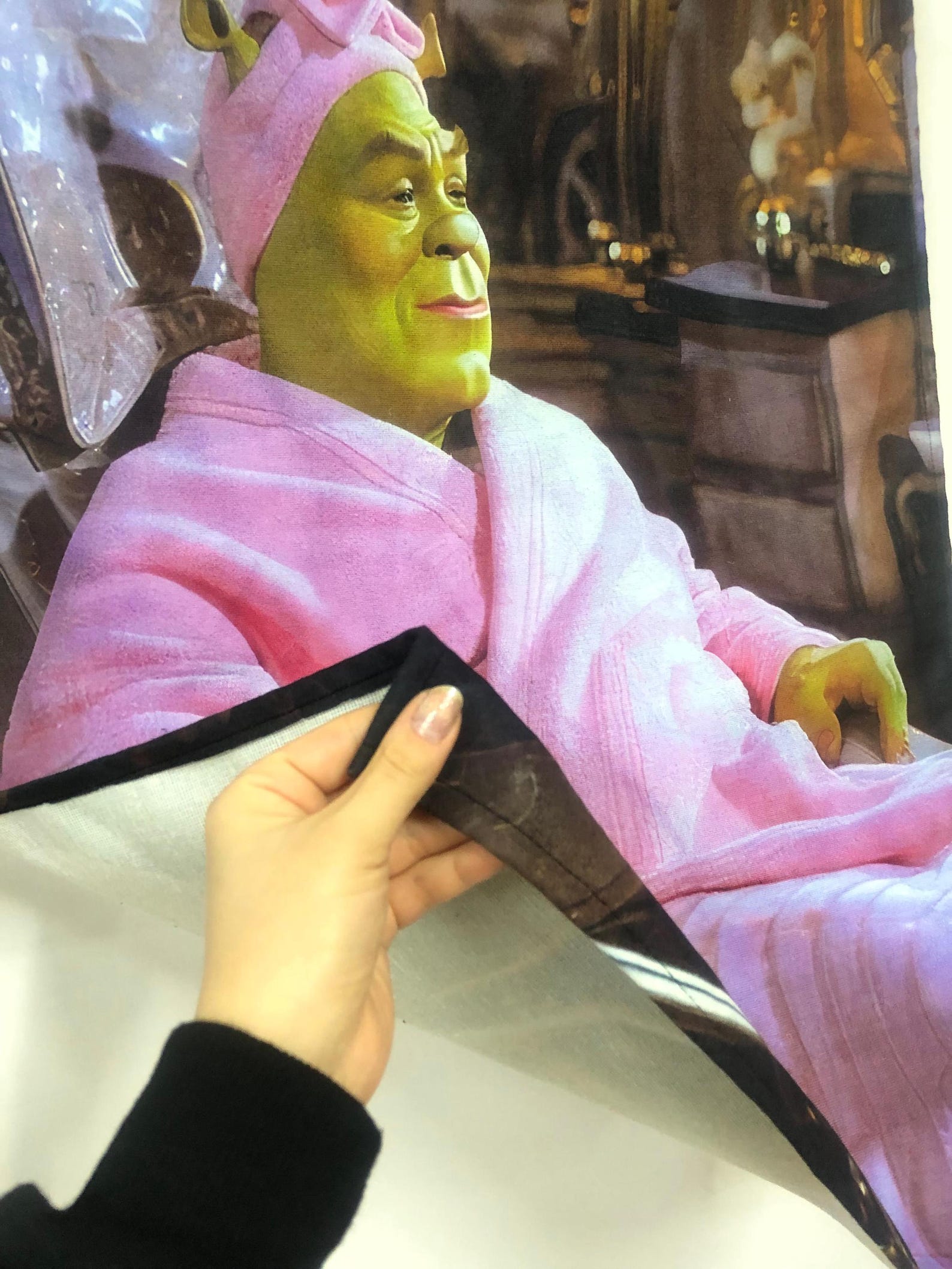 SHREK TAPESTRY, Wall Decor Hangings, Printed Wall Decor, Collage Dorm ...