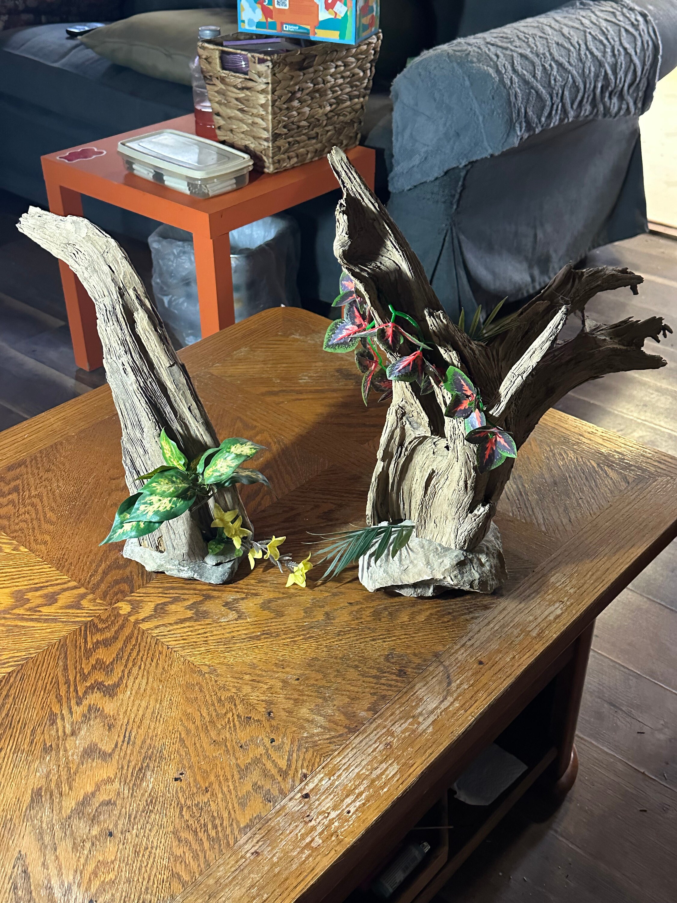 Reptile Enclosure Decor - Etsy