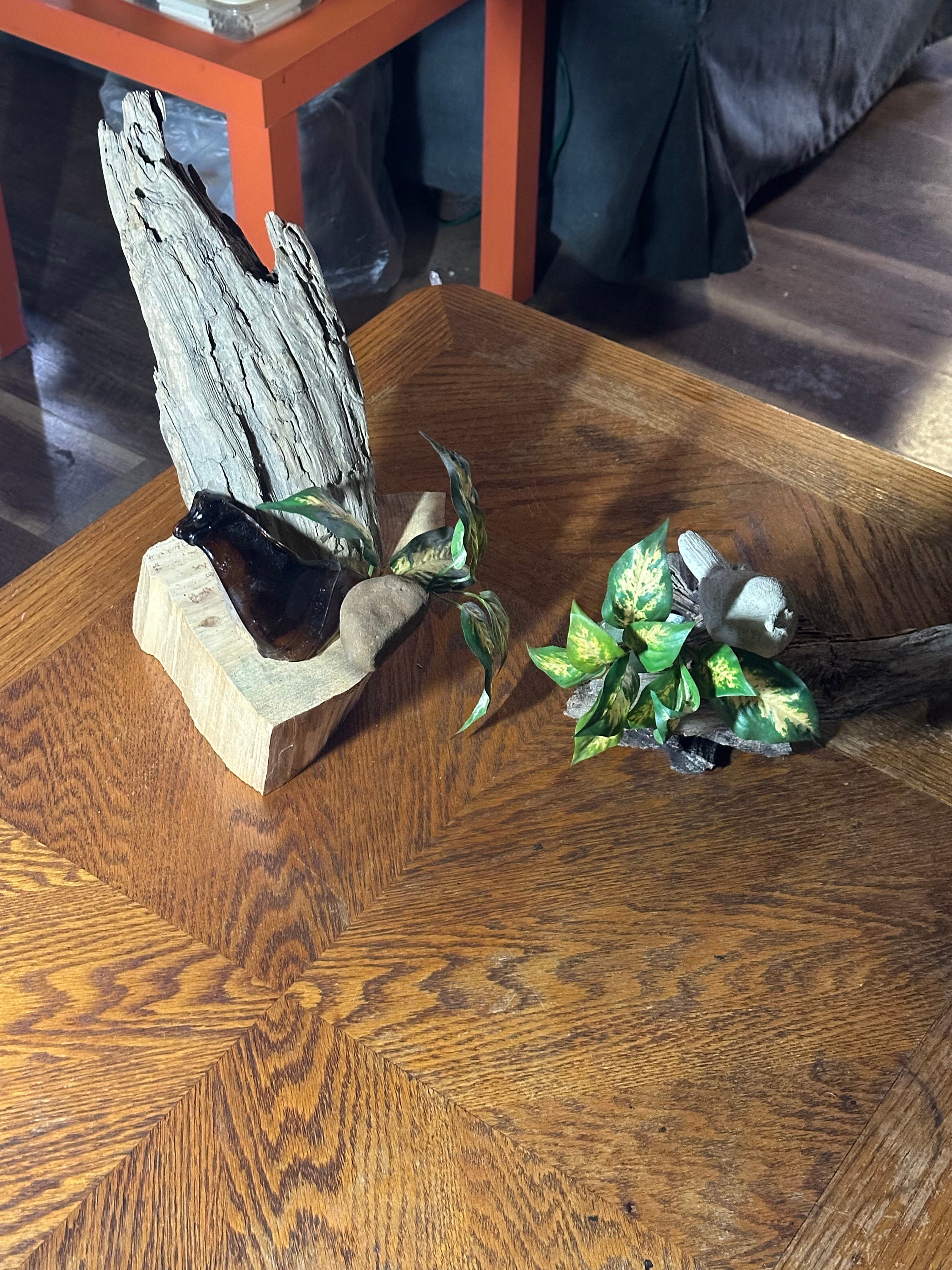 Reptile Enclosure Decor - Etsy