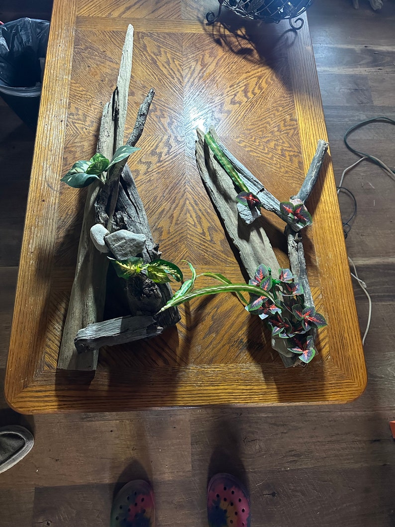 Reptile Enclosure Decor - Etsy