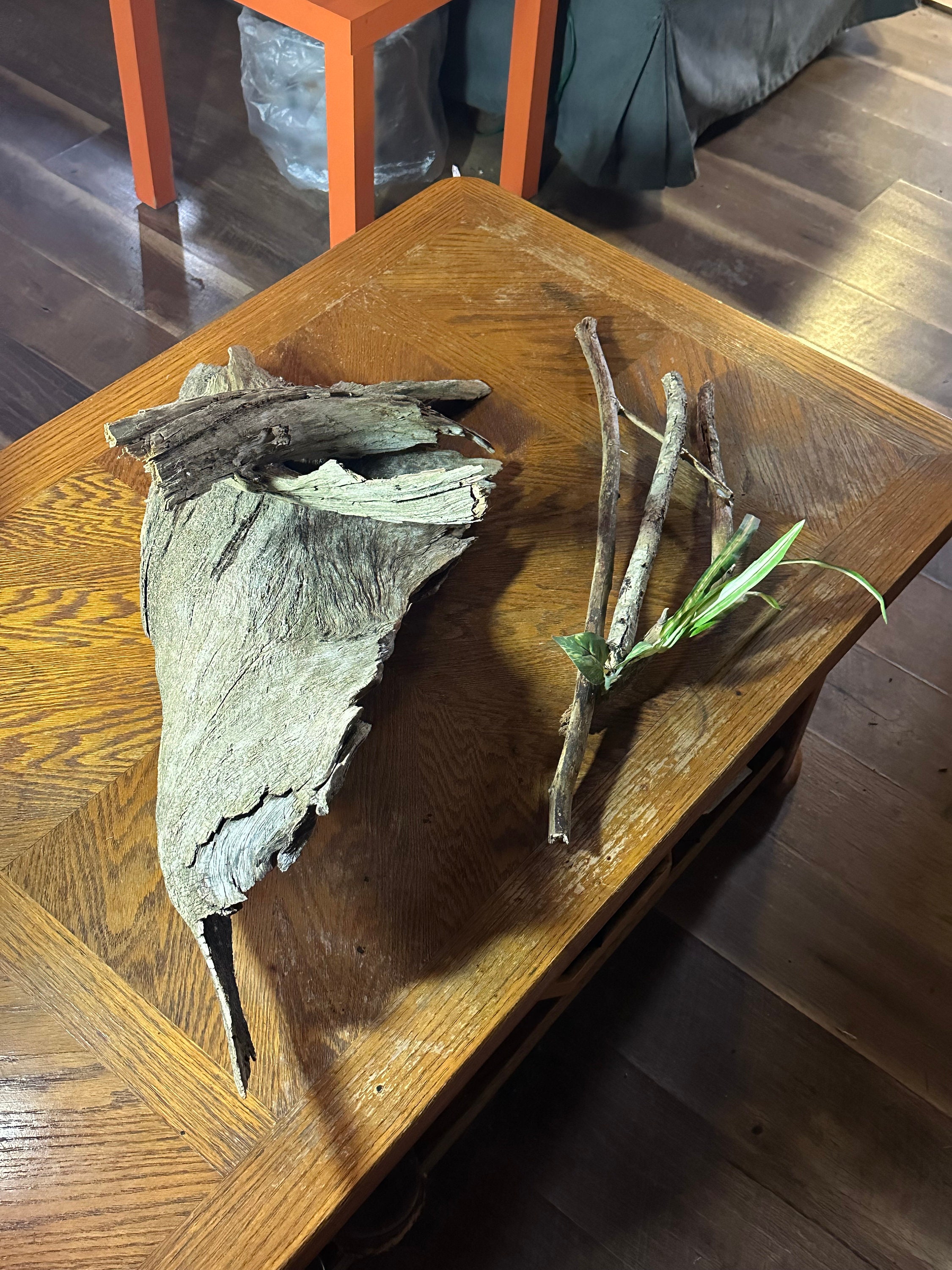 Reptile Enclosure Decor - Etsy