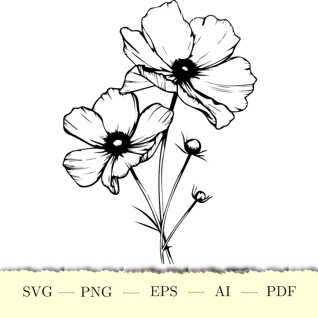 Cosmos SVG Vector Eps Png Svg Ai Screen Silhouette Unique Flower Design ...