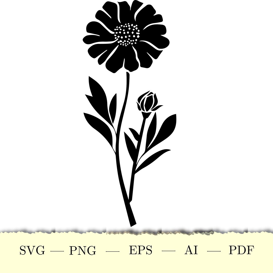 Calêndula SVG Vetor Eps PNG SVG Ai Tela Silhueta Design de flor ...