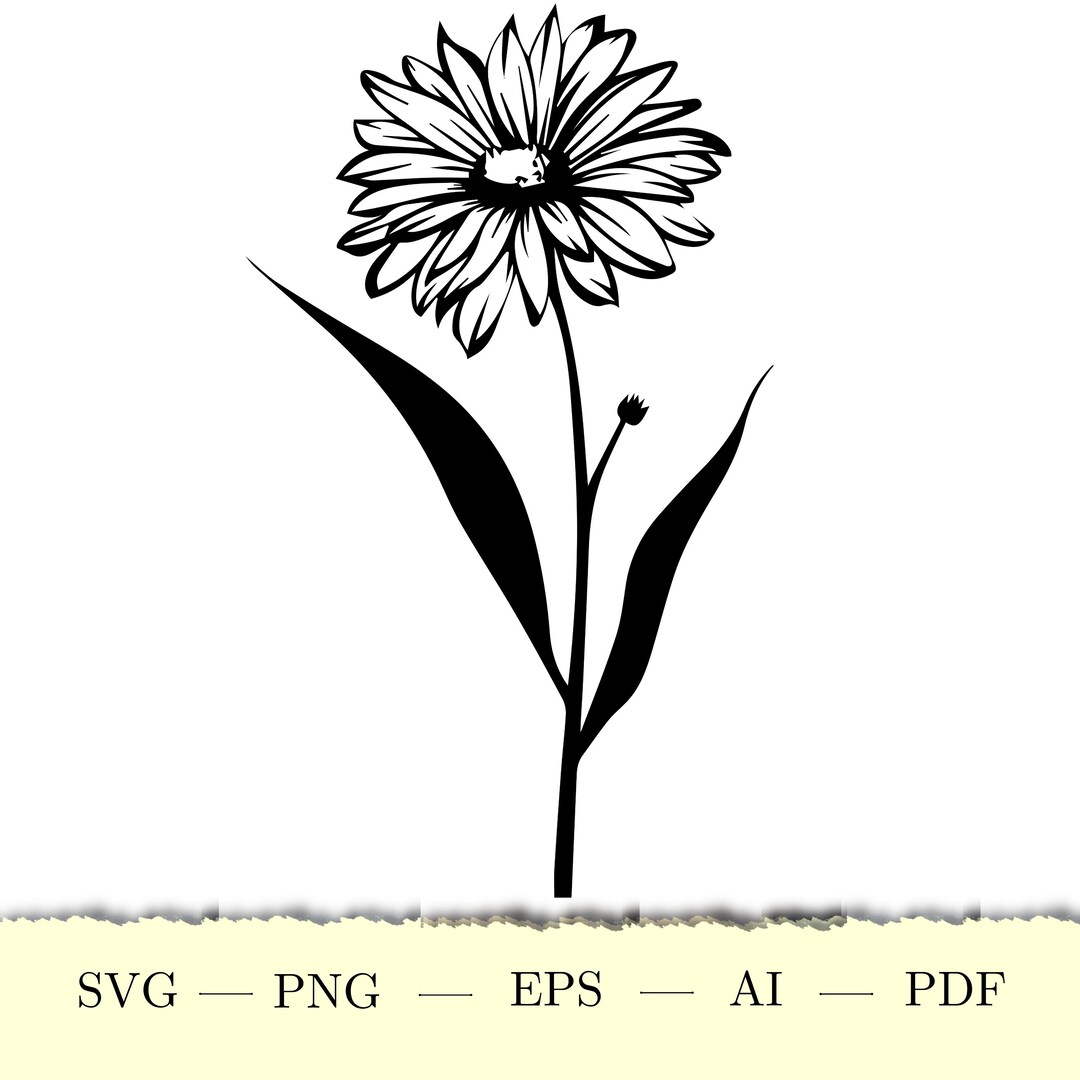 Aster SVG Vector Eps Png Svg Ai Screen Silhouette Unique Flower Design ...