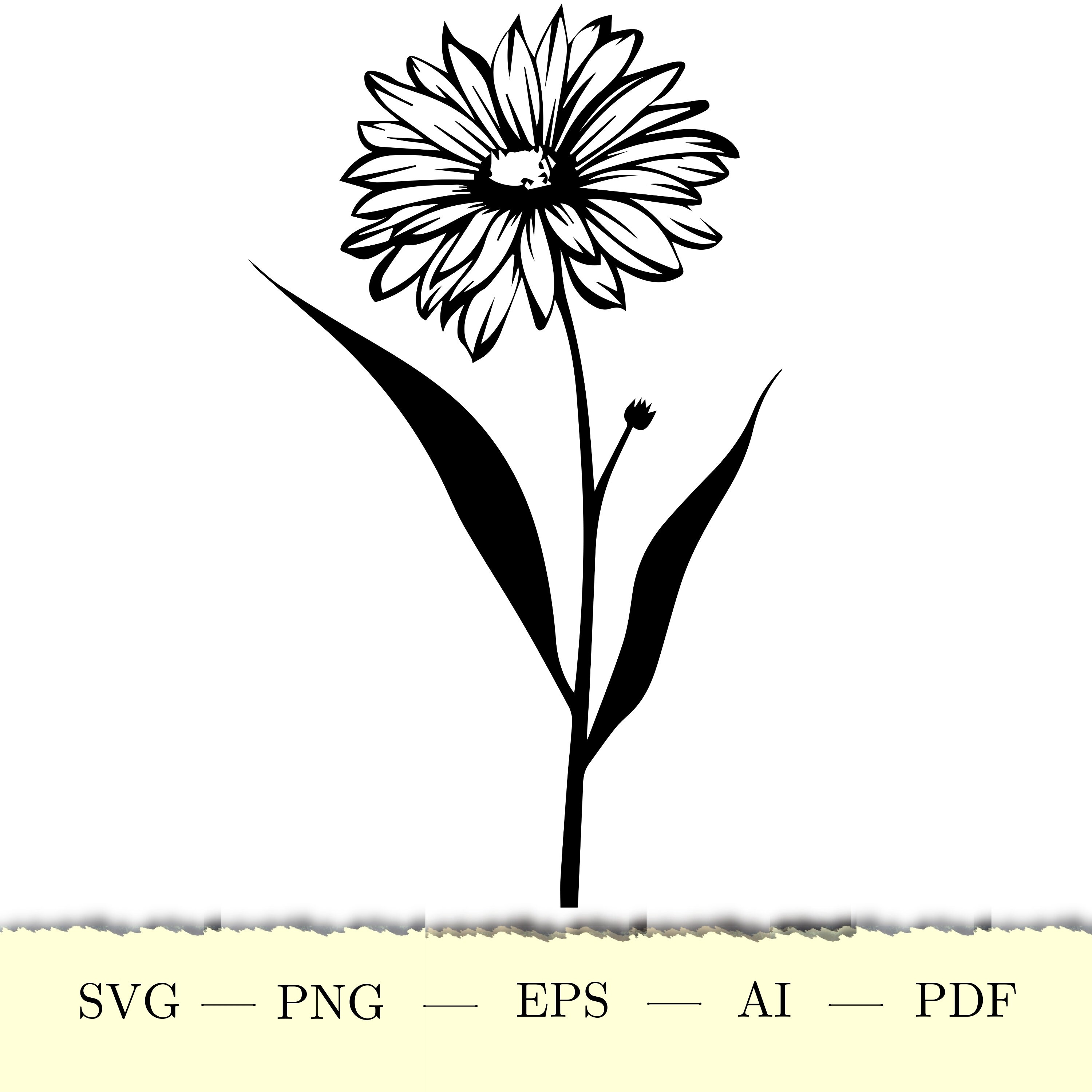 Aster SVG Vector Eps Png Svg Ai Screen Silhouette Unique Flower Design ...