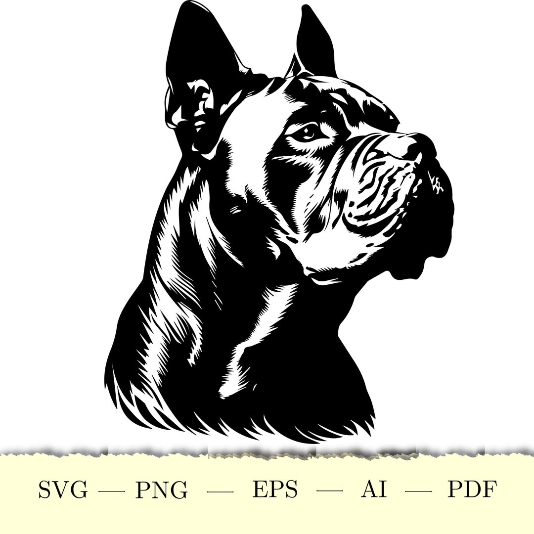Cane Corso SVG / Vector / Eps / Png / Svg / Ai / Pantalla / Silueta ...