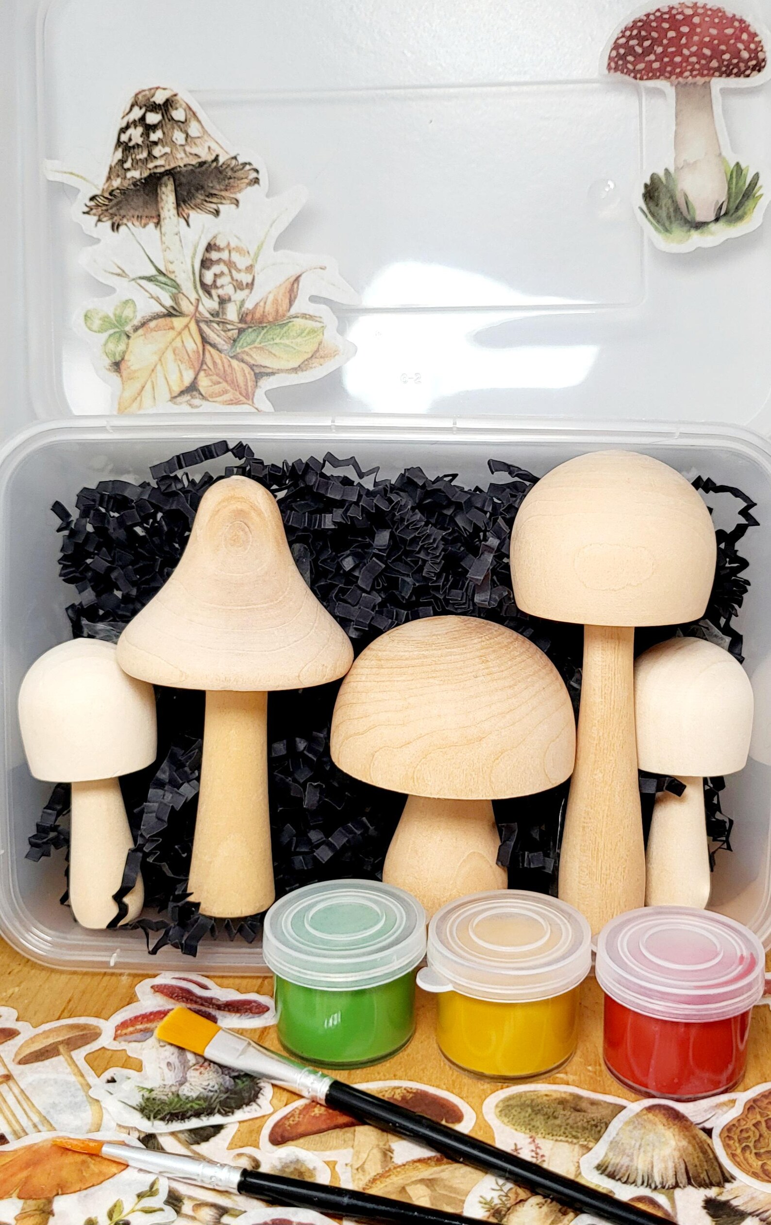 DIY Mushroom Craft Kit: Paintable Wood Mushrooms, Decals & Brushes - Etsy