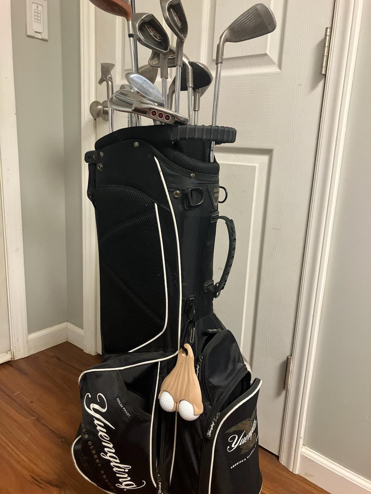 Golf Ball Sac Holder. 3D Printed Realistic Golf Ball Holder Sac. Father ...