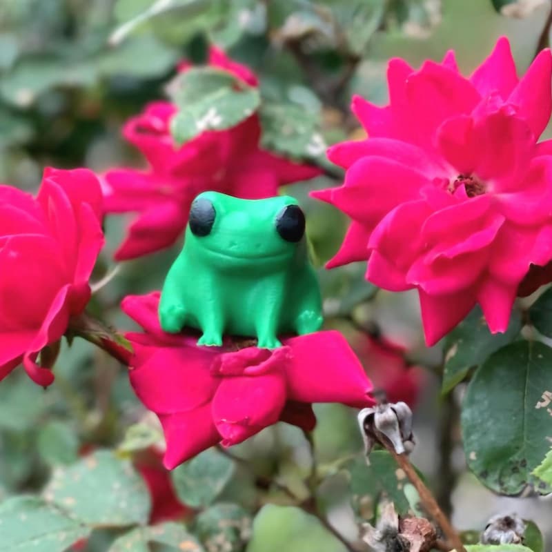 Real Frog - Etsy