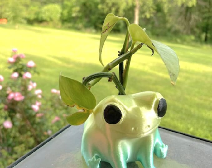 Thicc Big Booty Frog Planter Flower Pot, Cutest Frog for Home Decor ...