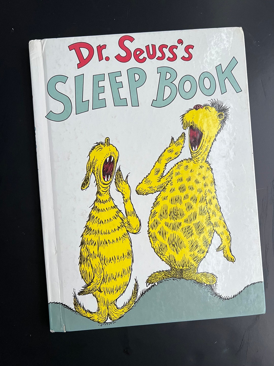Dr. Seusss Sleep Book 1962 - Etsy