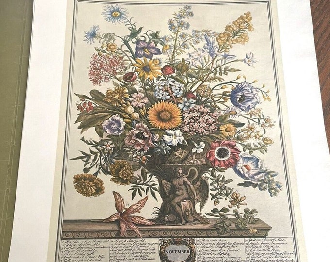 Vintage Robert Furber 12 Months of Flowers Art, Vintage Floral Art ...
