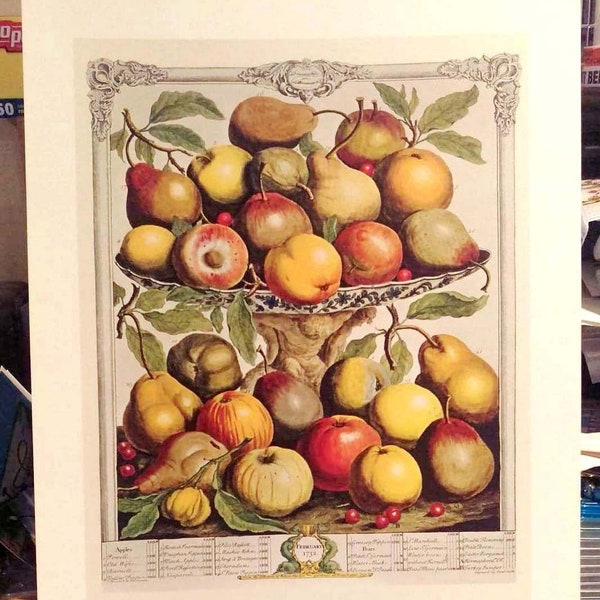 Fruit of Month Art - Etsy