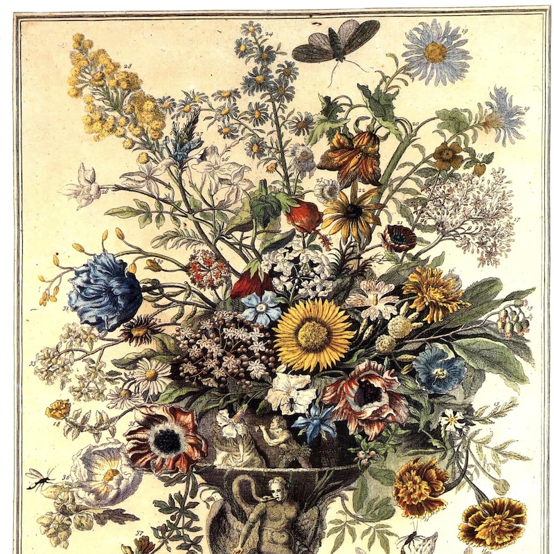 13 November 19 November - Etsy