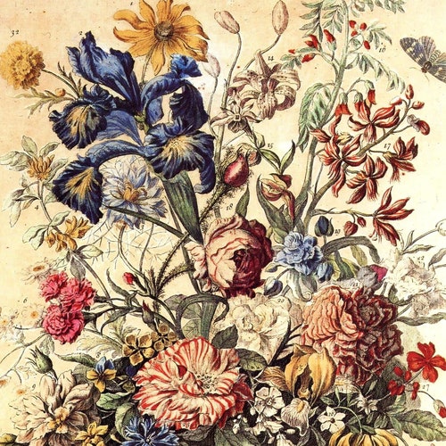 Large Vintage November Flowers Art Print Botanical - Etsy
