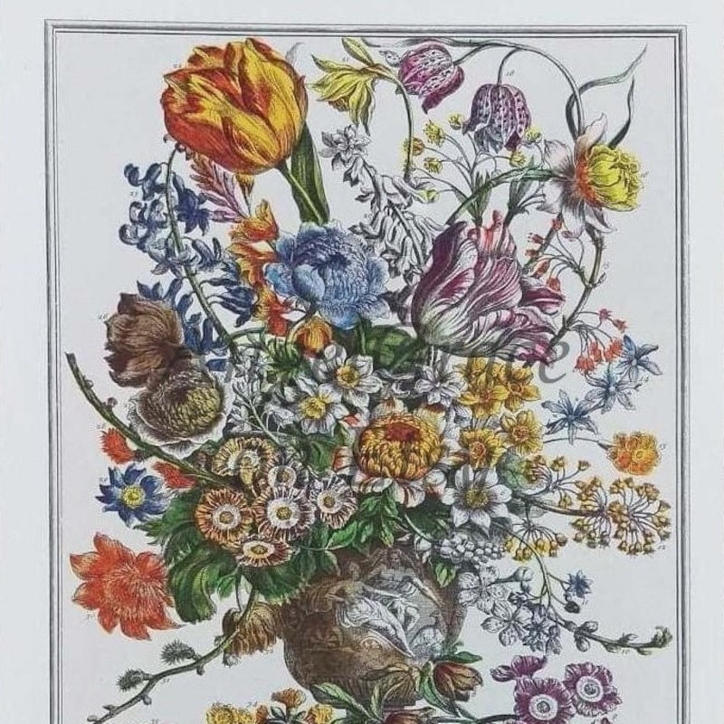 Robert Furber - Etsy