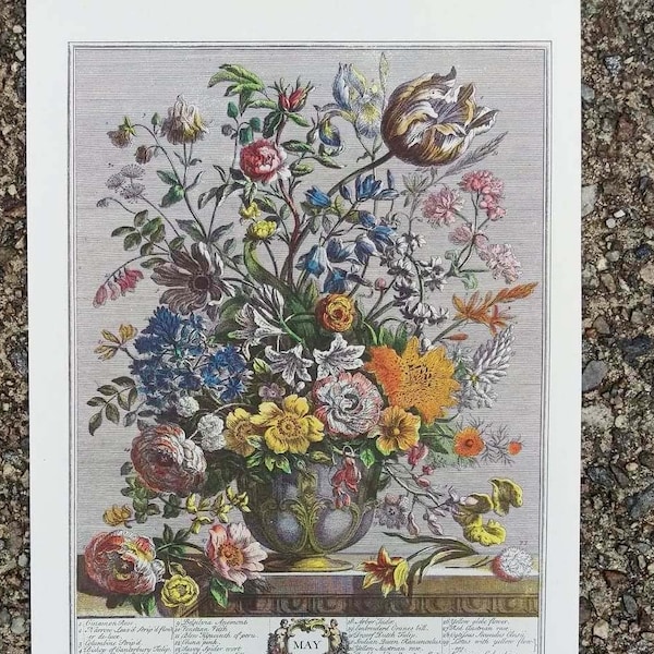 Robert Furber 12 Months of Flowers - Etsy