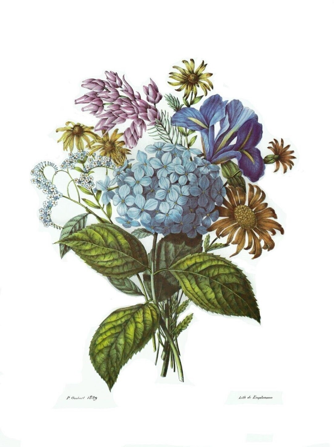 Vintage Lithograph BOUQUET 3 With Blue Hydrangea by Oudart, 1800s ...