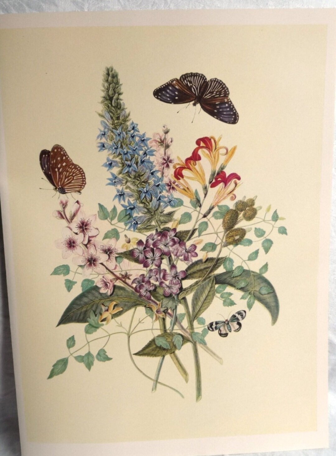 Vintage SUMMER FLOWERS Art Print, 1700s Bouquet Painting, Blue Larkspur ...