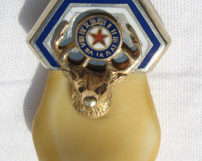 14k Elk Tooth Watch Fob -BPOE Elks Lodge Collectible- 3D Elk Head ...