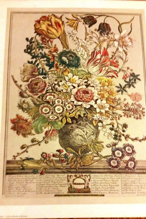 Large Vintage March Flowers Art Print Botanical Illustration | Etsy