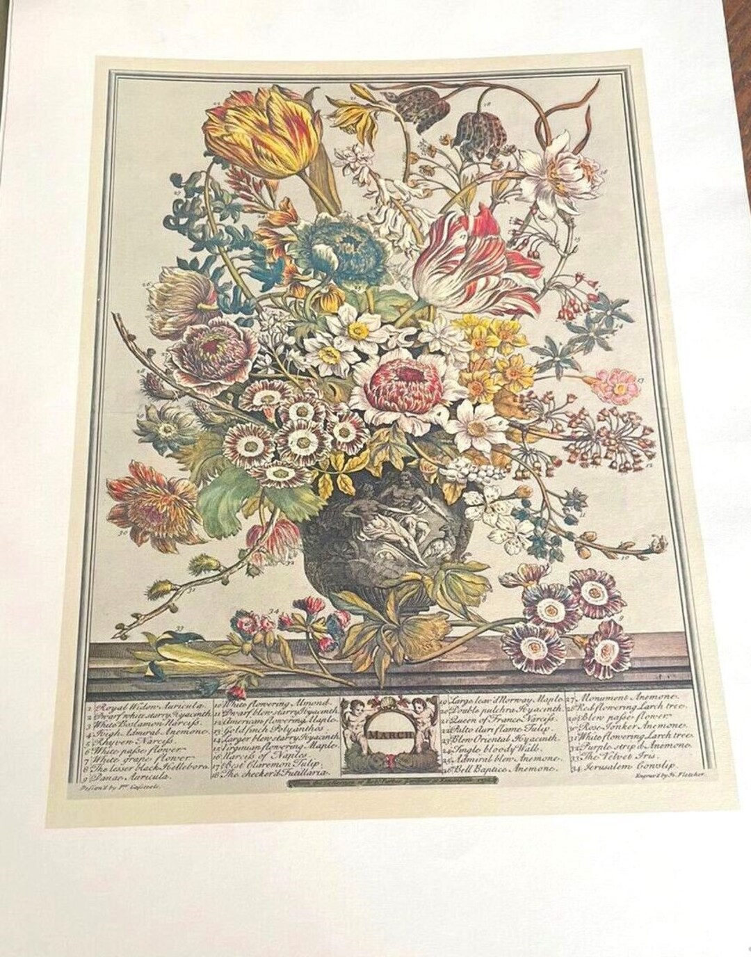 Large Vintage March Flowers Print, 12 Month of Flowers, Furber ...