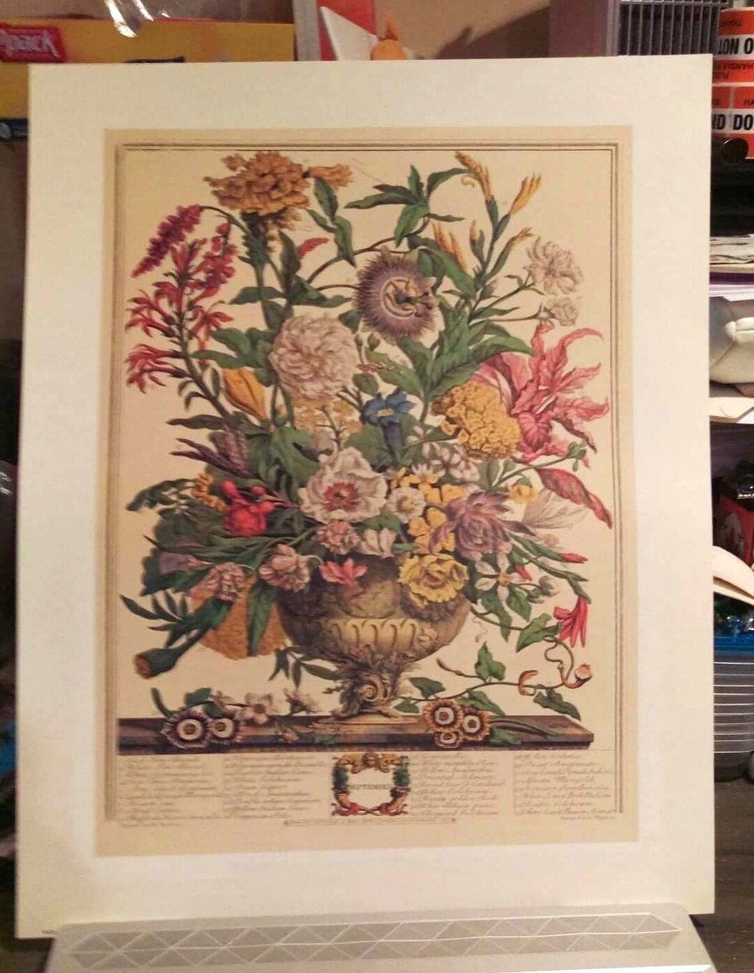 Lg Vintage September Flowers Art Print, Rob Furber, 12 Months of ...