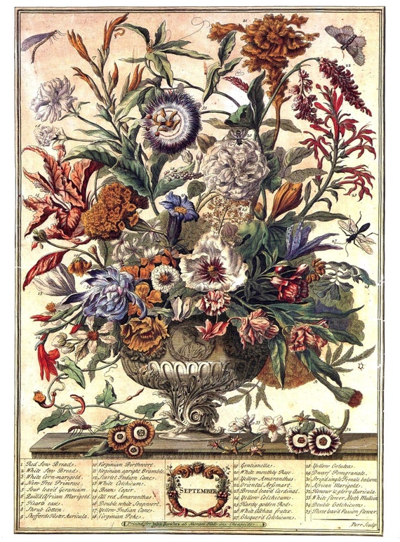 Antique Flowers