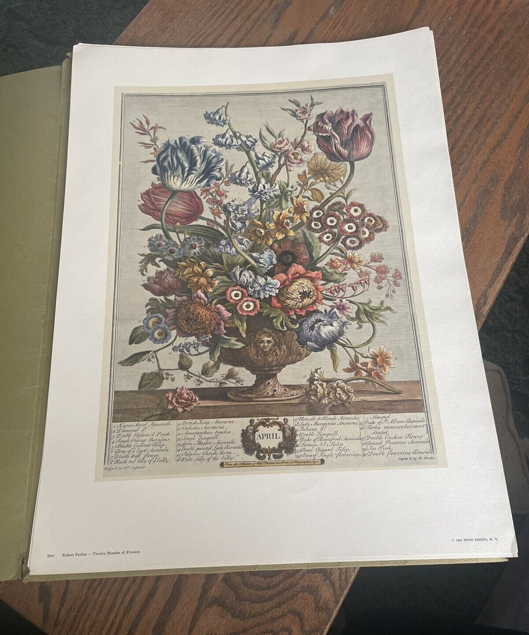 Large Vintage April Flowers Art Print Botanical Illustrations - Etsy