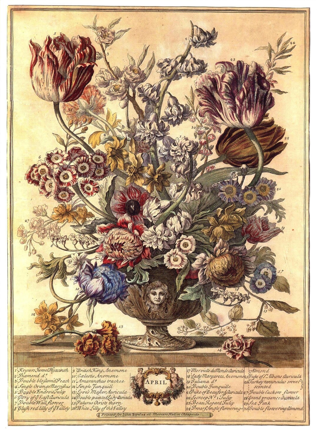 Large Vintage APRIL FLOWERS Print- 1700s Birth Month Flowers- John ...