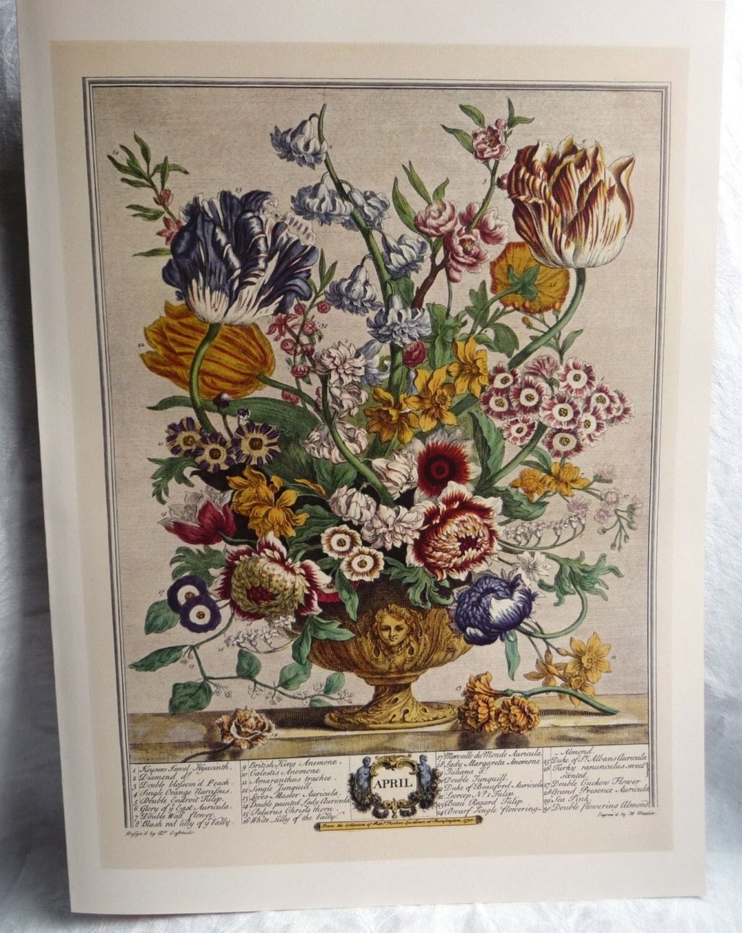 Vintage April Flowers Art Print, Furber 12 Months of Flowers, Colonial ...