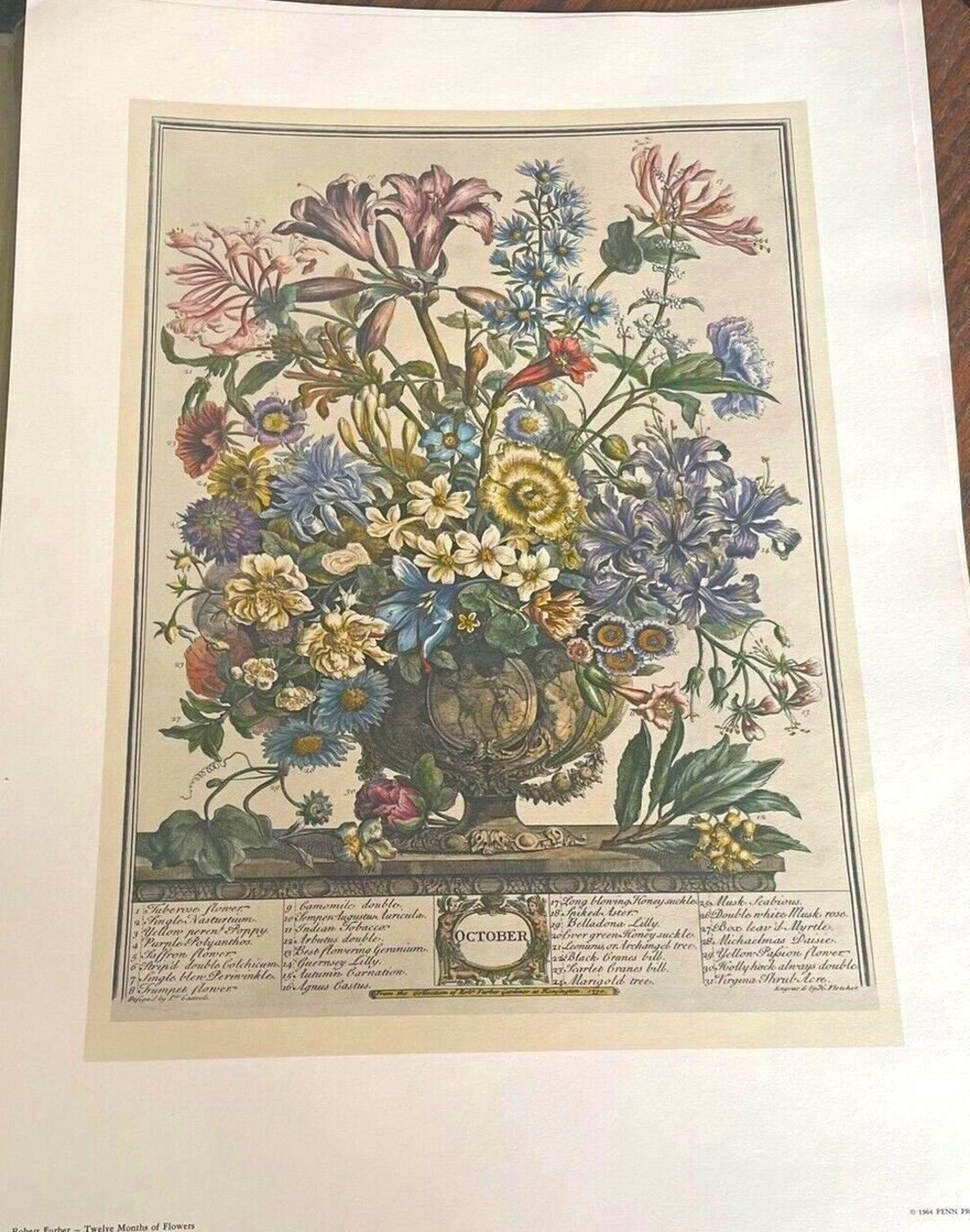 Large Vintage October Flowers Print, Furber's 12 Month of Flowers ...