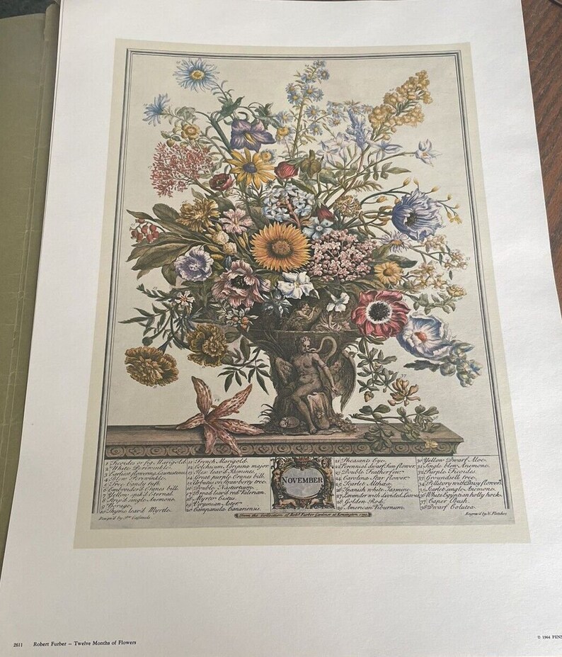 Large Vintage November Flowers Art Print Botanical - Etsy