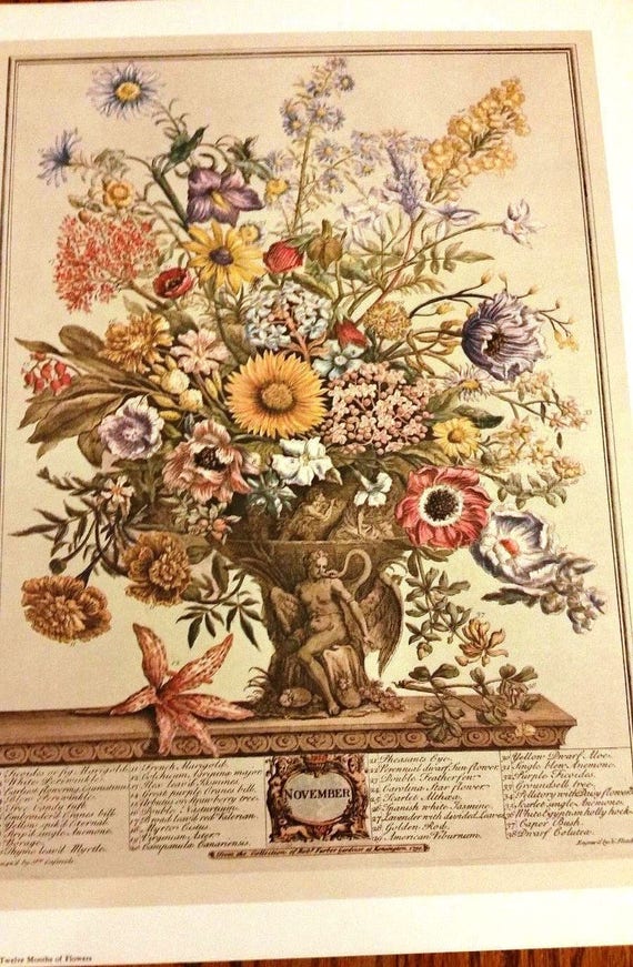 Large Vintage November Flowers Art Print Botanical | Etsy