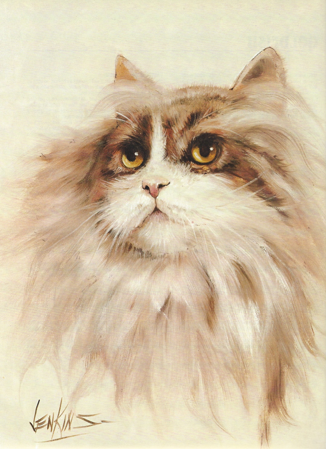 Vintage 1980s Print of Persian Cat Portrait, Persian Longhair Wall Art ...