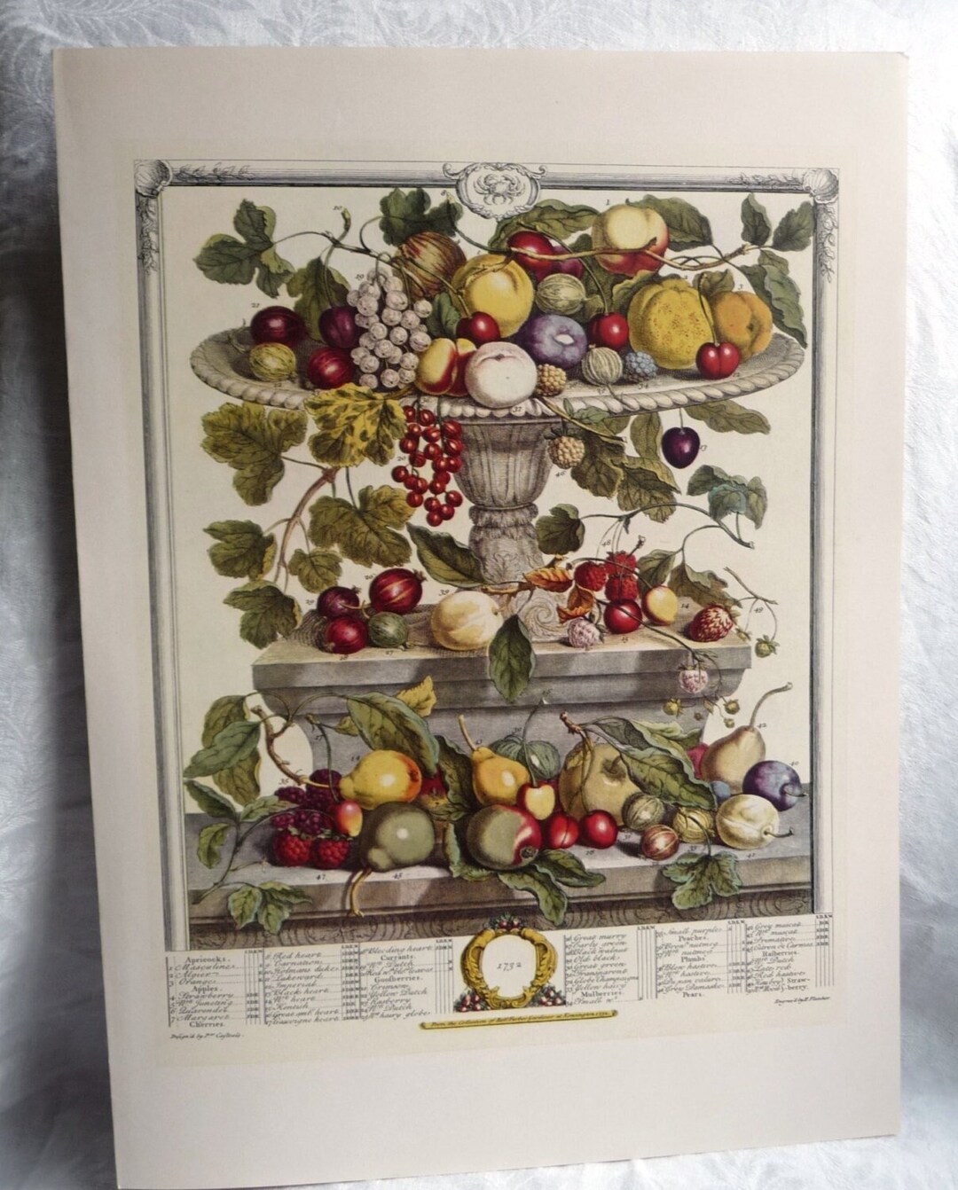 Vintage Furber AUTUMN FRUIT Art Print, 1700s Baroque Still Life ...