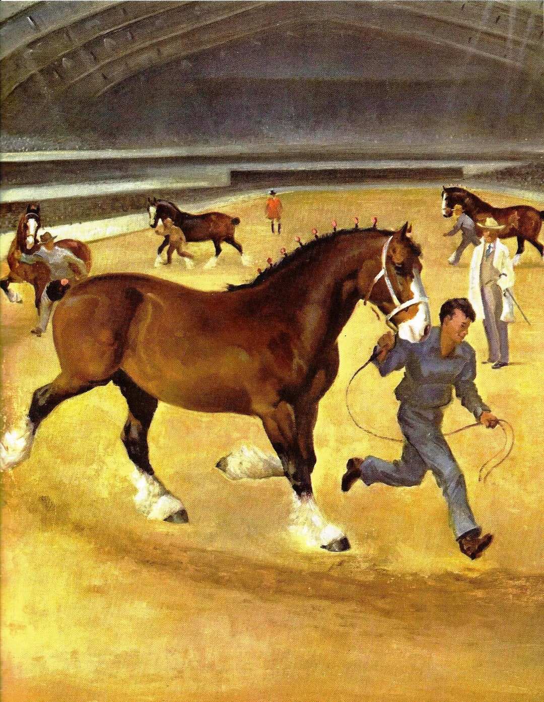 Vintage 1950s Clydesdale Horse Art Print, Draft Horse Show Ring Scene ...