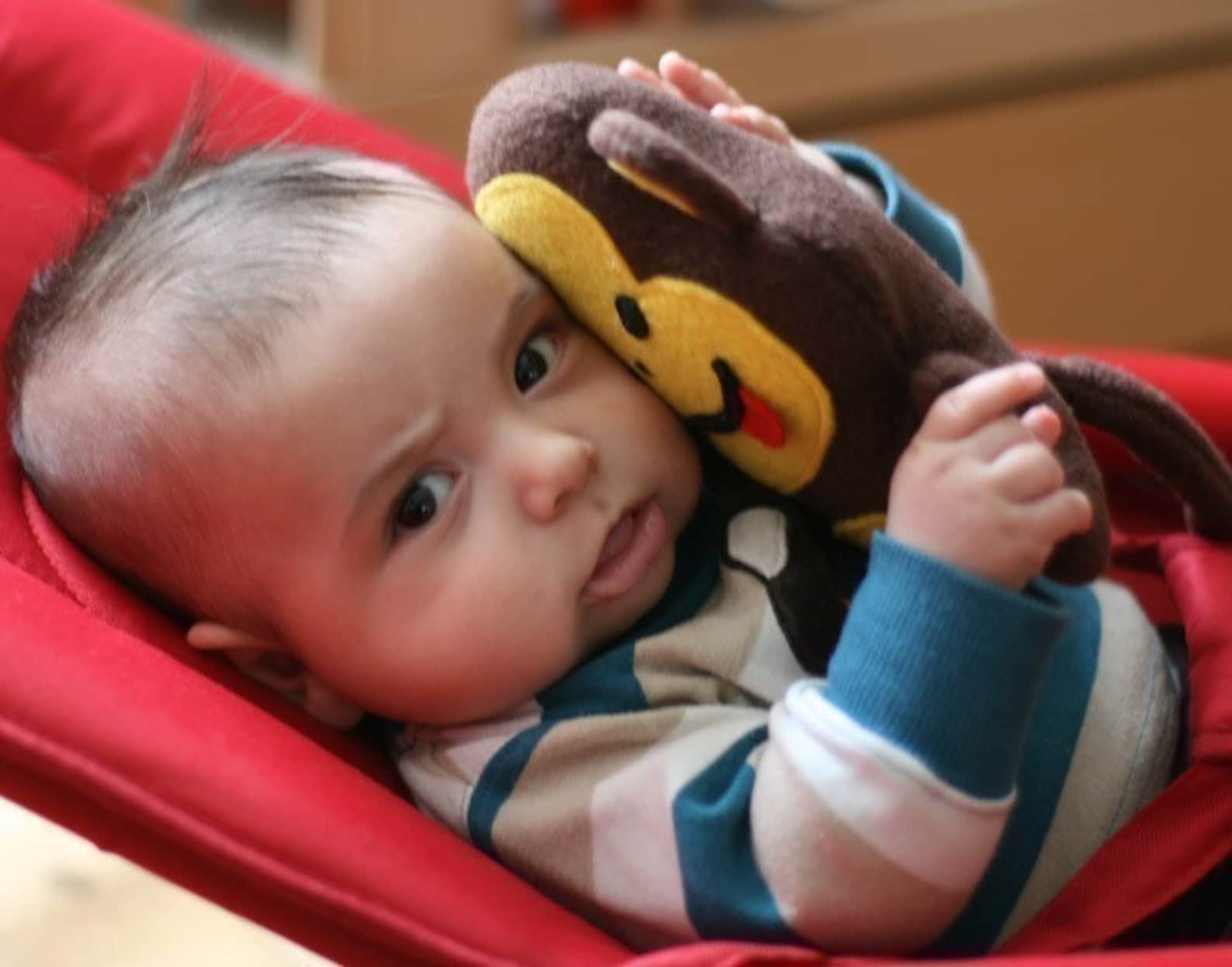 Fluffy Monkey Sewing Pattern - PDF - Sew a Stuffed Animal Toy Pattern ...